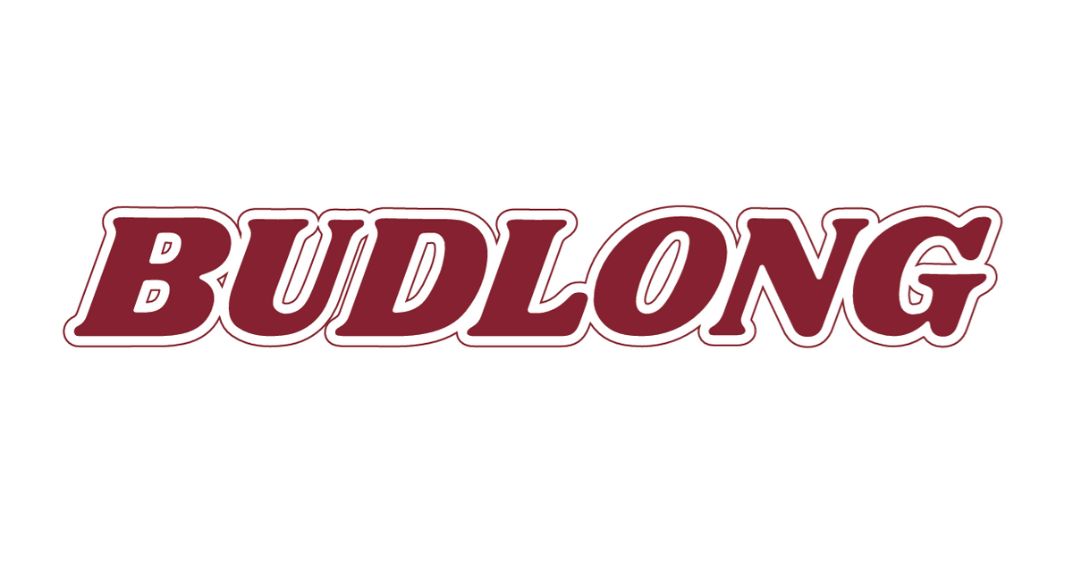 Products – Budlong Mobility